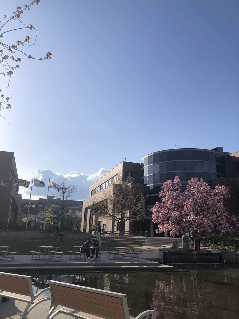 UBCで受けた学歴マウント｜Junna Lily @UBC