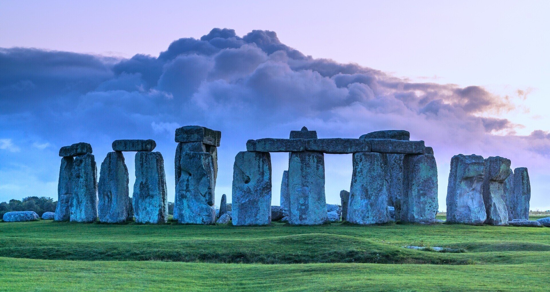 青野芹 Seri Aono｜note