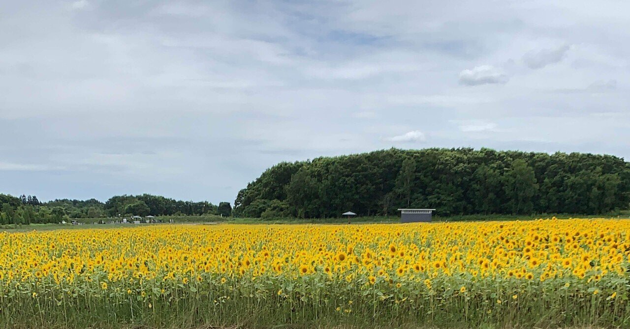 自己紹介｜keisuke