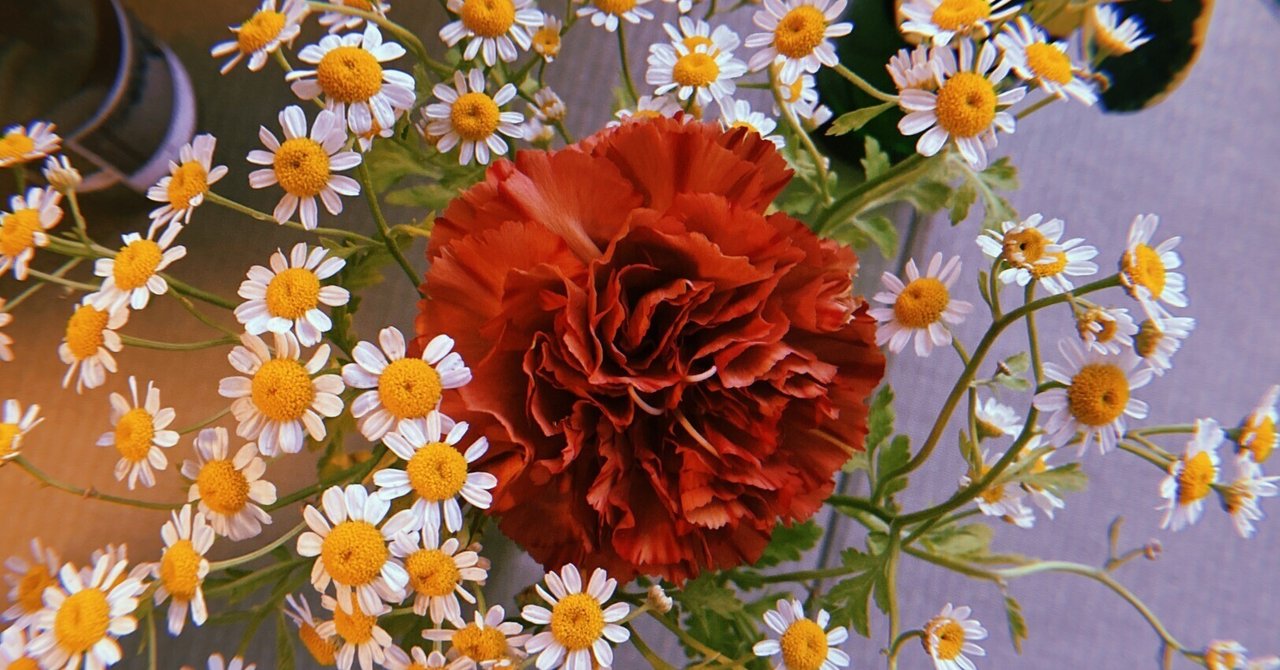 突然ですが2022年、前半をざっくり振り返りました。｜Sonoka Aoki｜note