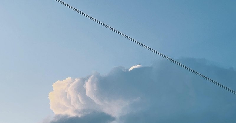 鈴木なりさ Narisa Suzuki｜note