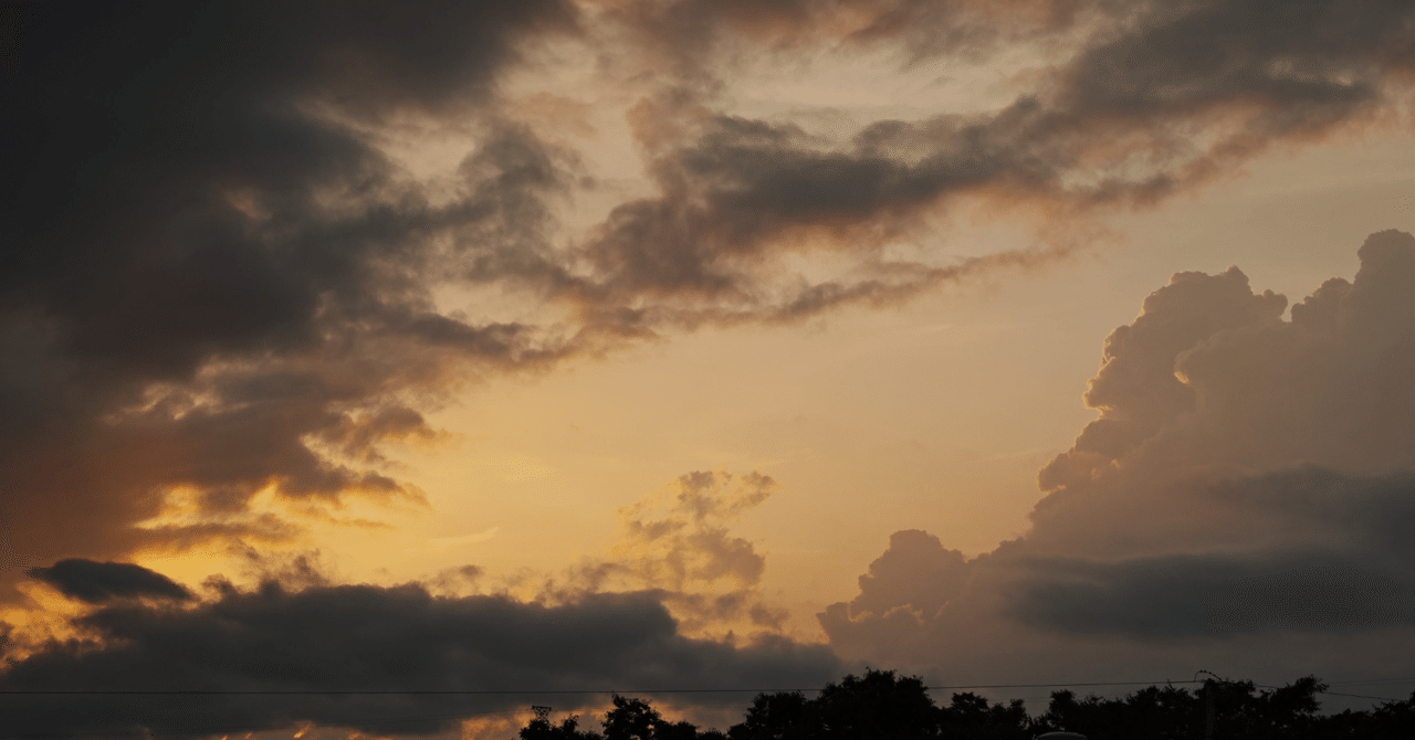 インスタ運用の金字塔！Tplus株式会社の実態｜Tempura集客