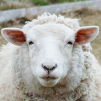 Yoshihiro Nagata｜note