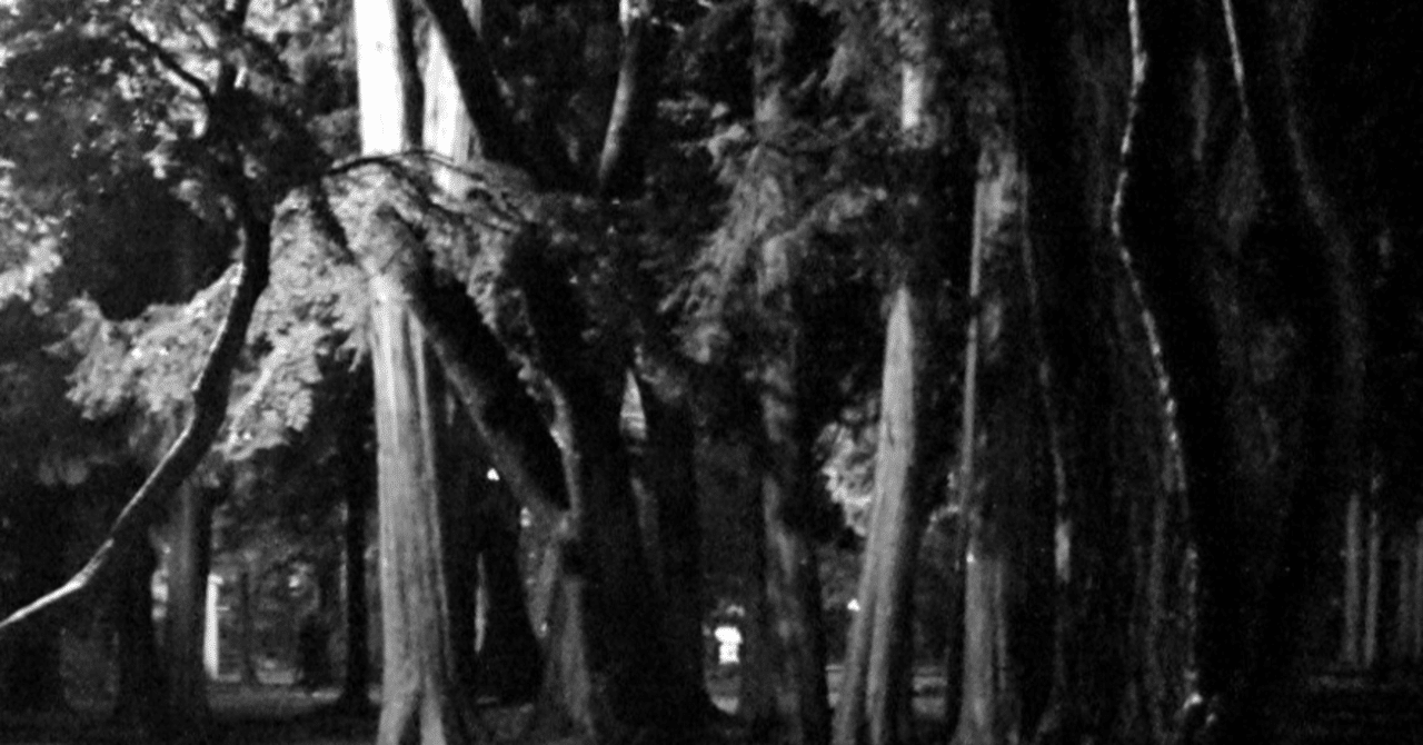 【連載小説】猫人相談所（3）2つの選択肢｜Inokichi