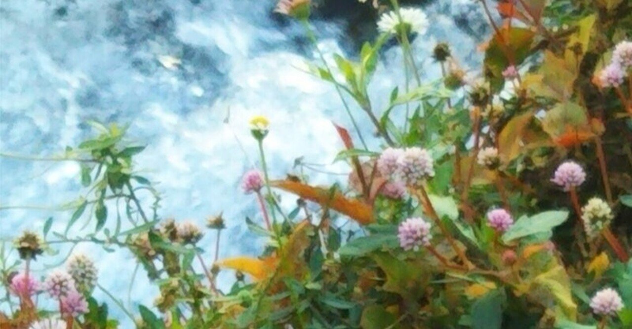 【短編小説】あひるのこ。｜湊谷翔-Minatoya Kakeru-｜note