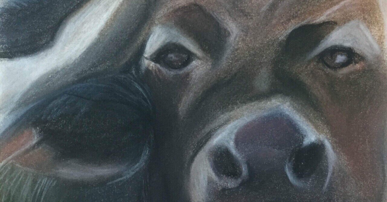 アドラー心理学とは〜ダイナミック大百科31｜Nakamura Dynamic