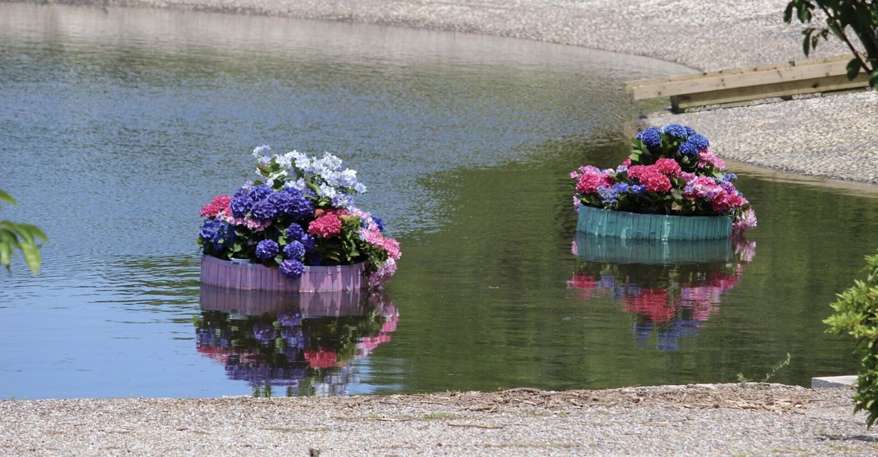 マに学ぶ人生論⑧大きな動きと小さな動き｜Yumeka.yy｜note