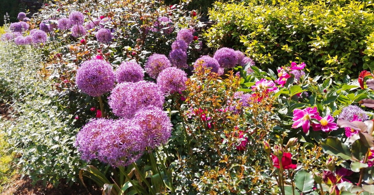 CP40期ちゃんねる｜いくこ 自分の好きをあつめる