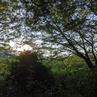 「ABCDEFG HIJKLMN OPQRSTU VWXYZ」とアルファベットを習ったが、この4つのかたまりのうち、「HIJKLMN」だけが ...