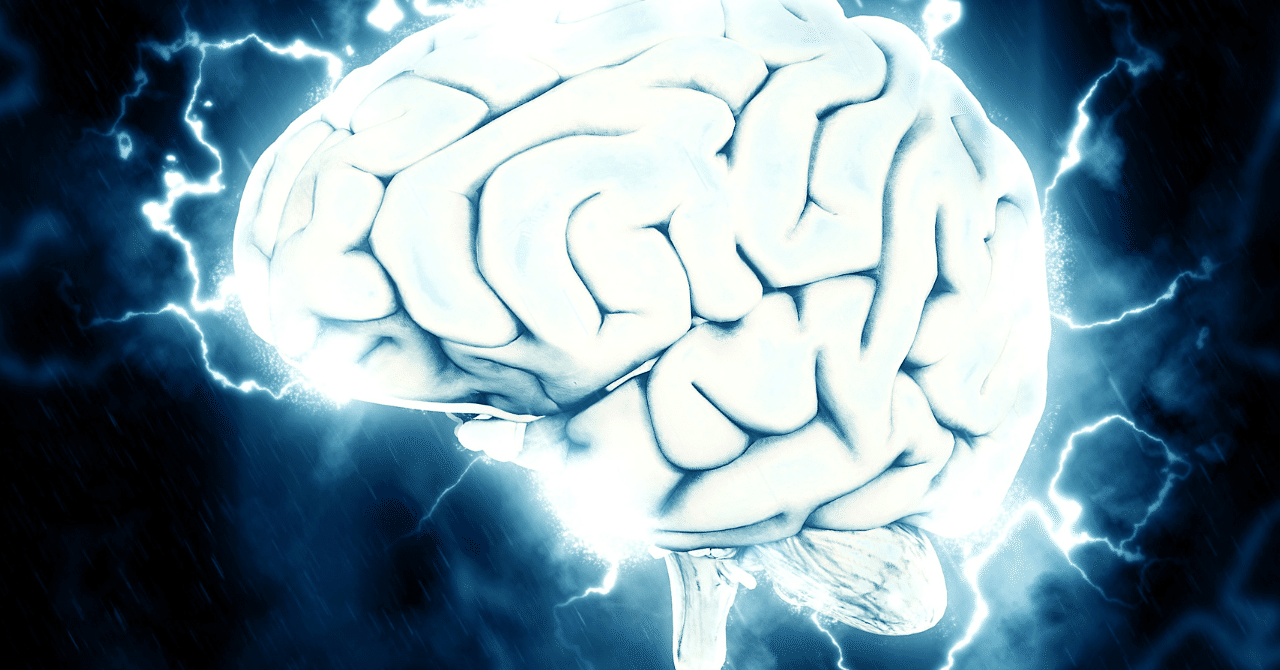 #2-41「脳は筋肉と同じ」｜mayogoto｜note