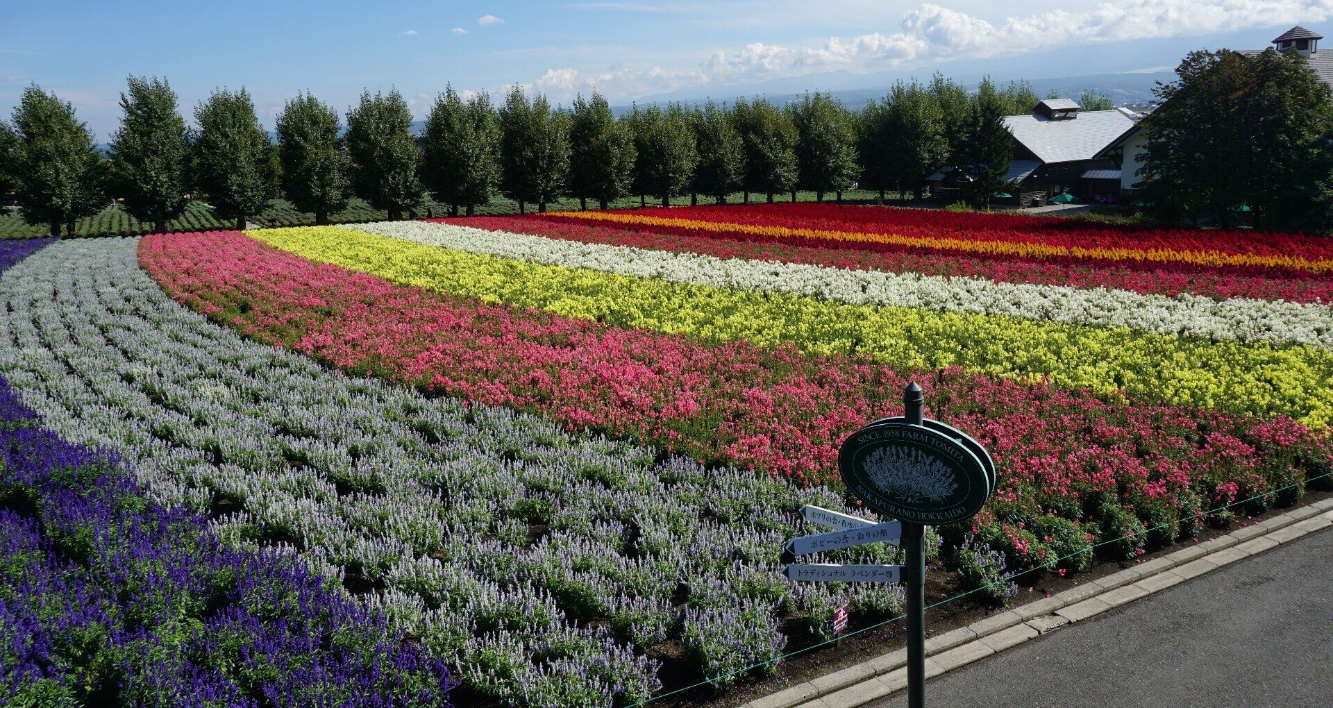 髙瀬一弘 / Kaz Takase｜note