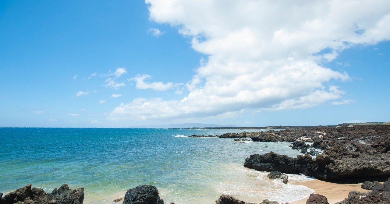 母を看取るまでの時間（2／2）｜Mieko Horikoshi