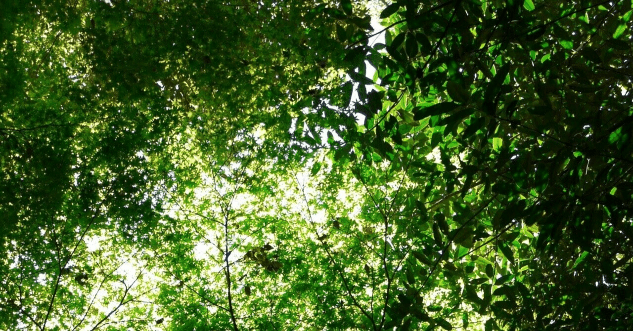 KOKIA ライブ配信コンサート「History of My pieces」感想｜うみ