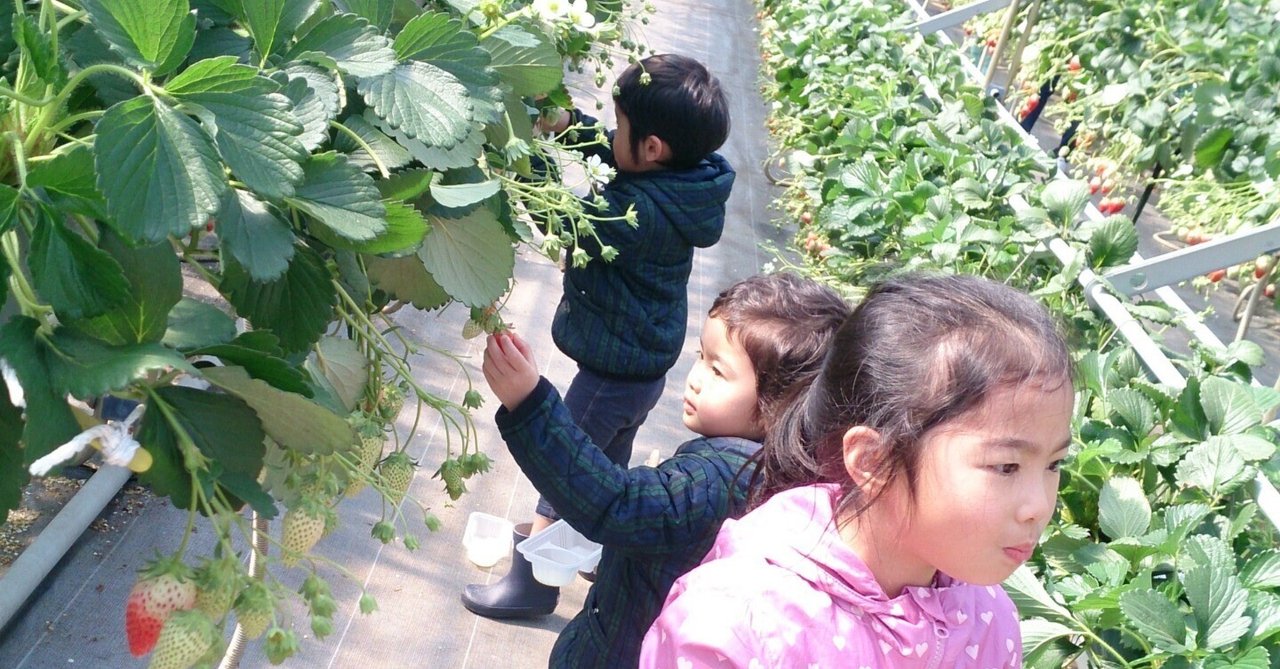 R4.6.26 こんなに早く…｜akari.m