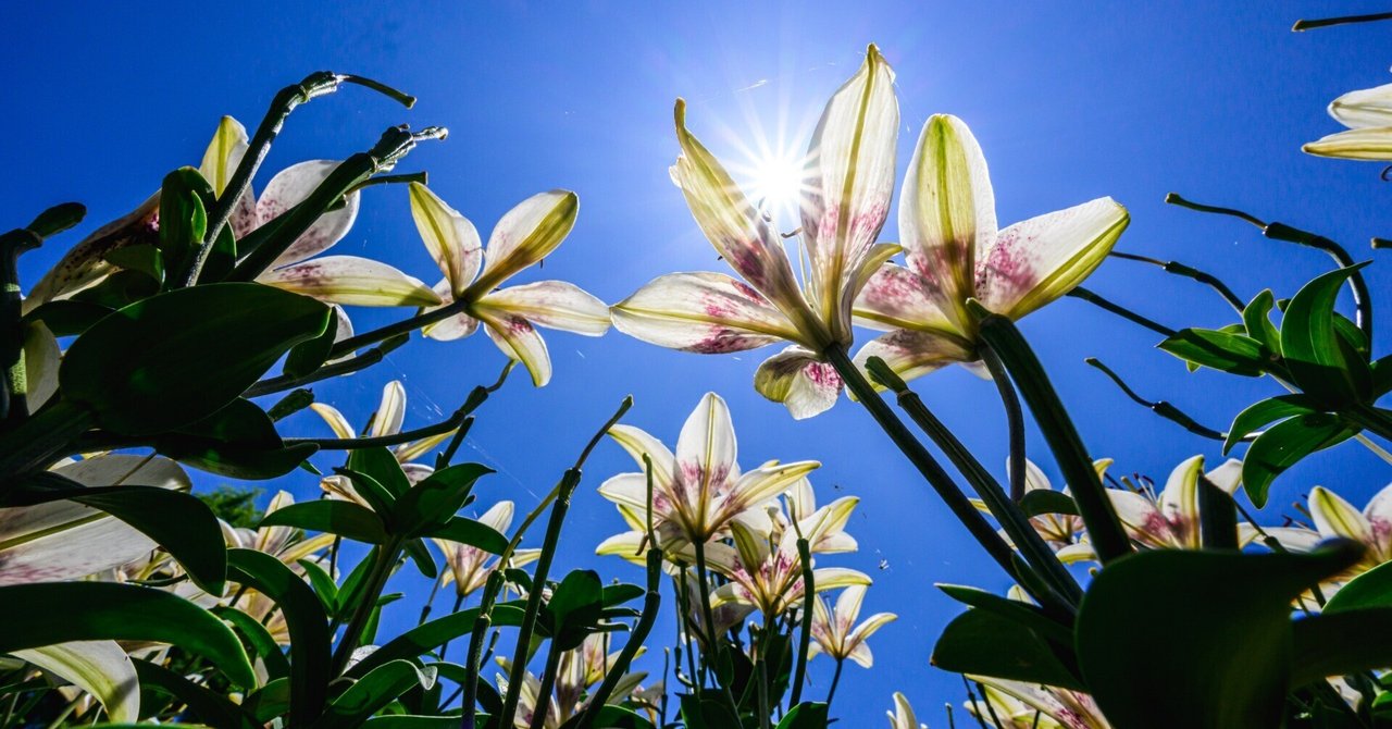 写真を続けて良かったこと③｜005 akkiy