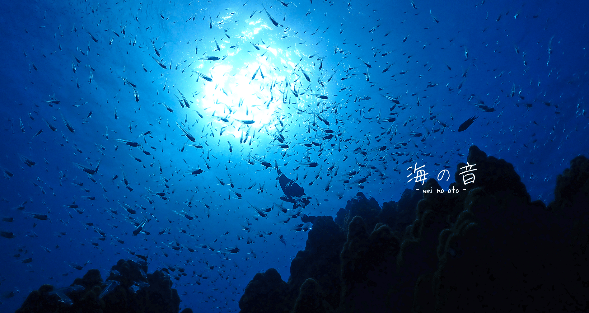 海の音 - umi no oto - by FURUNO｜note