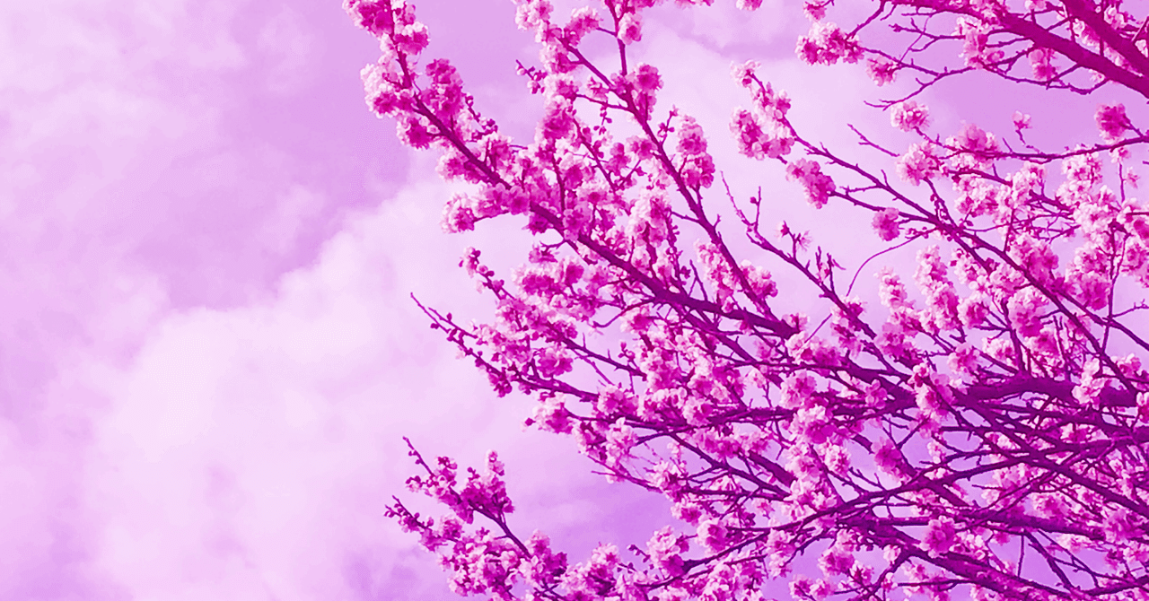 言葉になるまで 待つ♡｜Cicari_no