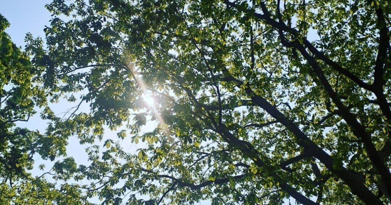 【大きな夢と小さな努力の積み重ね】｜菊地涼介 RYOSUKE KIKUCHI｜note