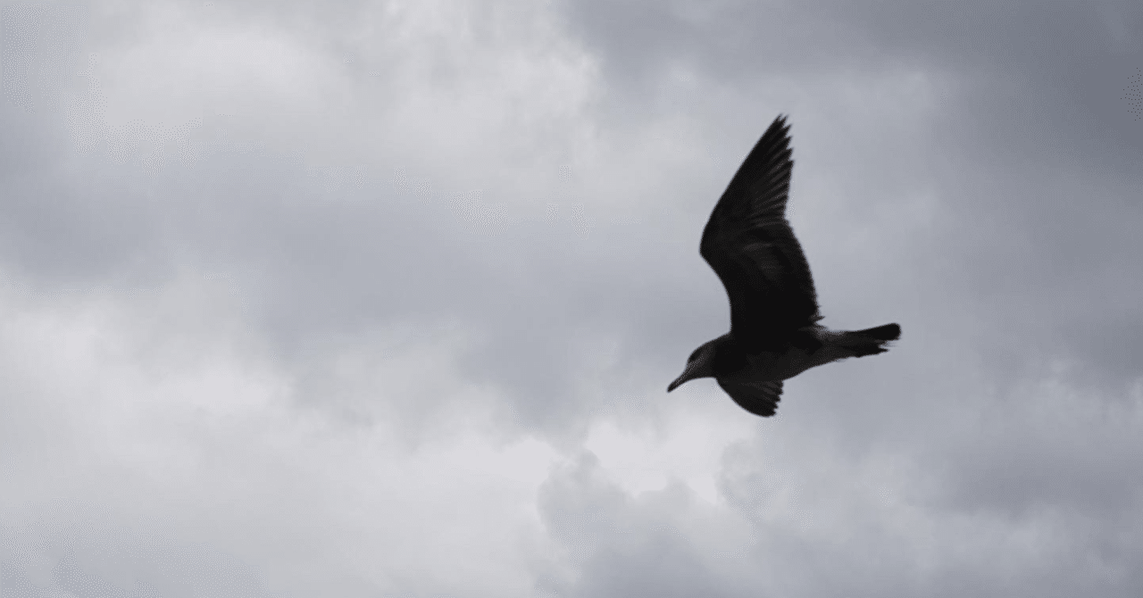 欲しい時に「ある」ことの大切さ｜Noriko Nakane