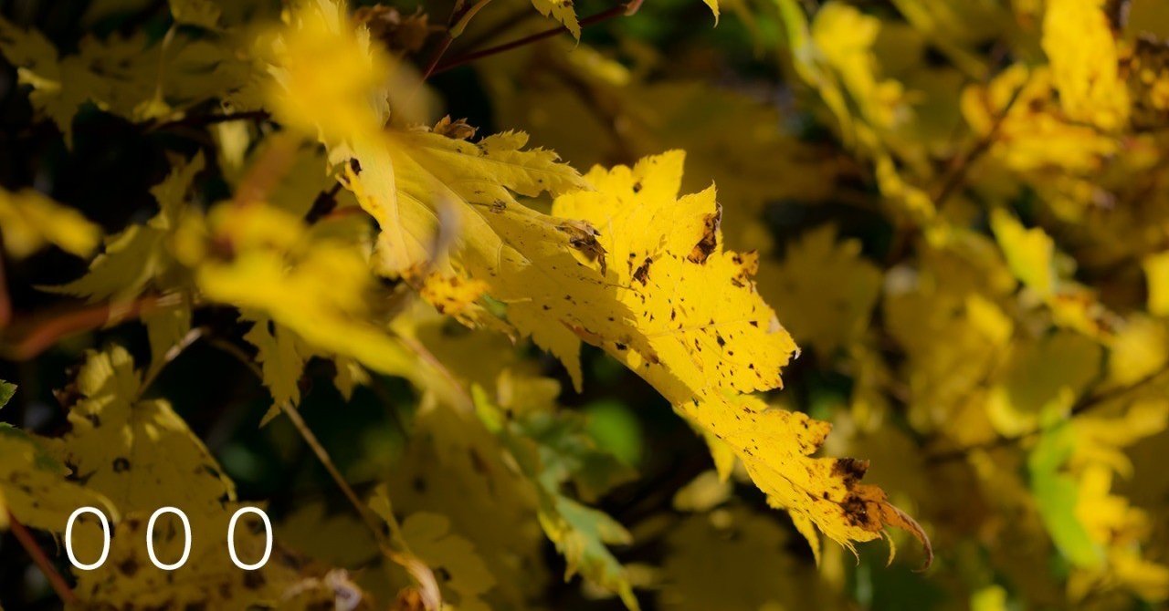 000 こんなかんじ｜kbfm