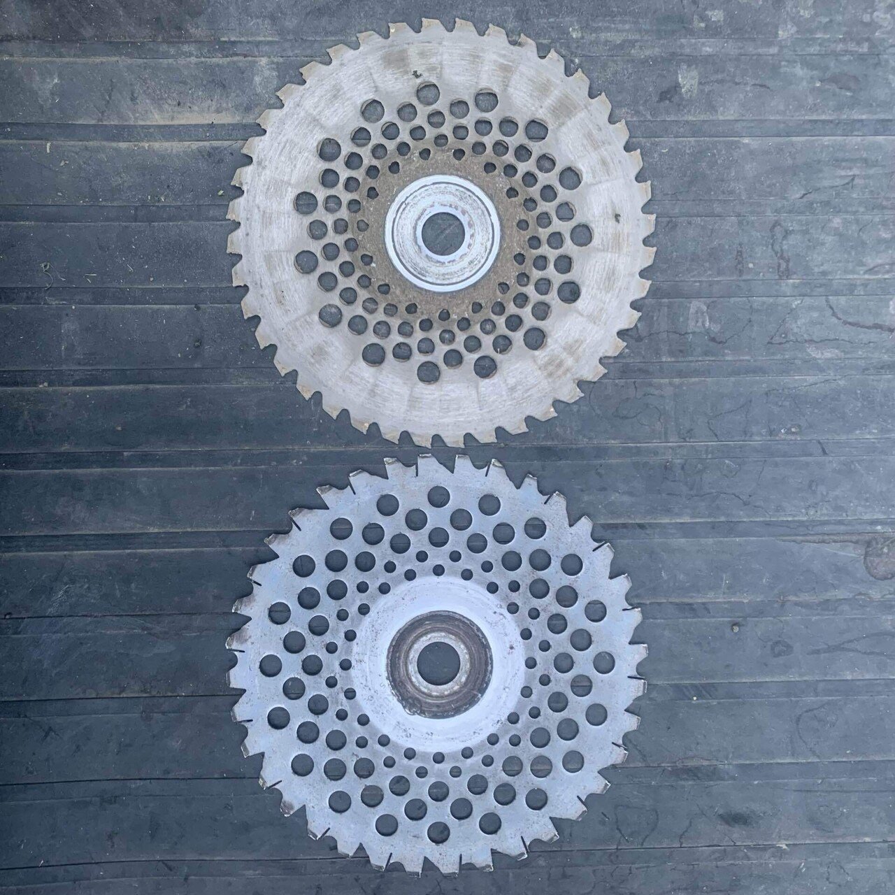 晃弥（こーや）🧄「信州にんにく 太陽の光」｜note