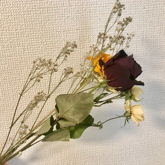 Atsuko 💐.°｜note