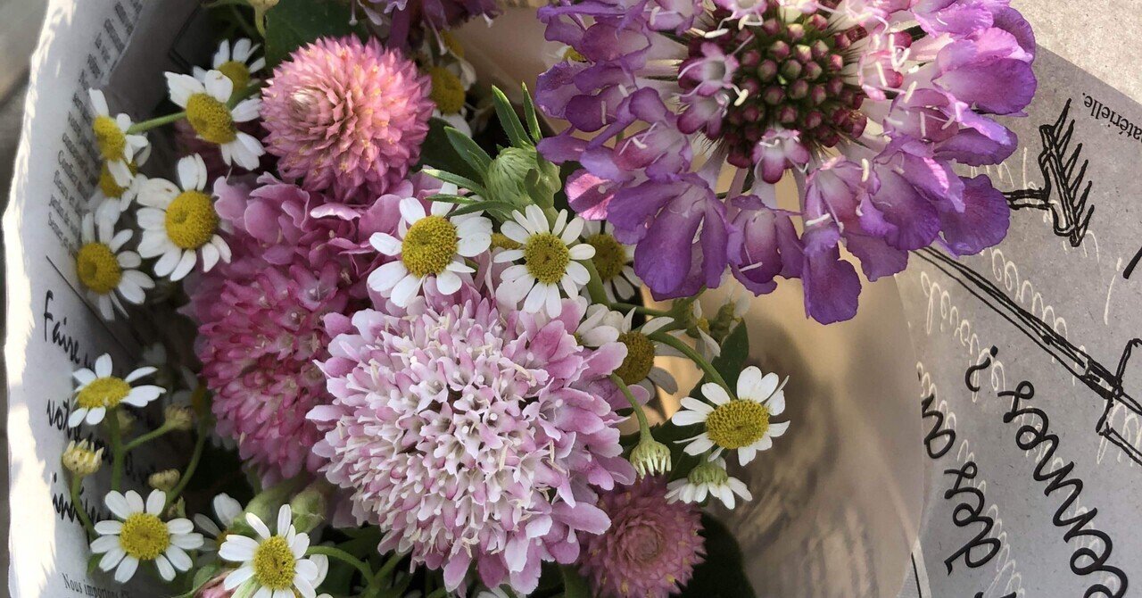 彩り。。。｜umi no oto