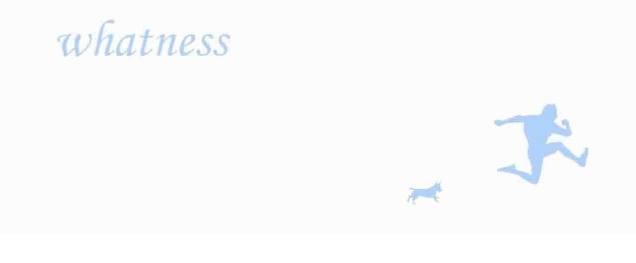 「whatness」コラボ作リリース日発表！｜kawatoshiki