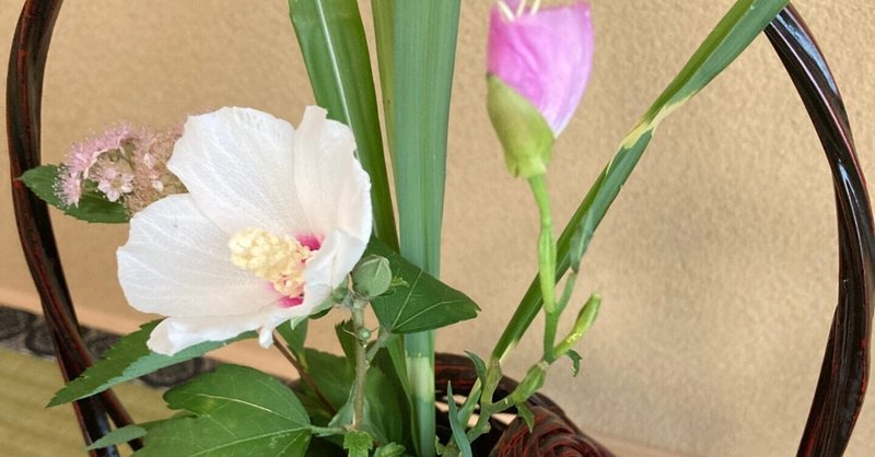 お稽古memo 2022/7/4【四ヶ伝/盆点】｜Urala_Tokyo