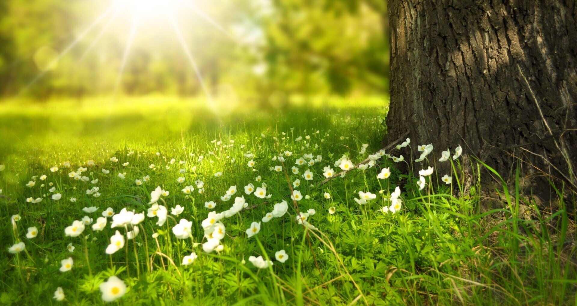 Yoko＊iroiro｜note