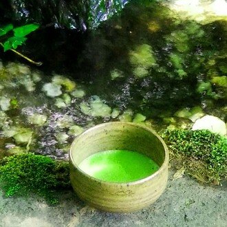 自宅に届くお茶教室「お茶の世界 知る できる 味わう」6回コース｜晶瑩 SHOUEI TEA｜農薬を使わない茶専業｜note