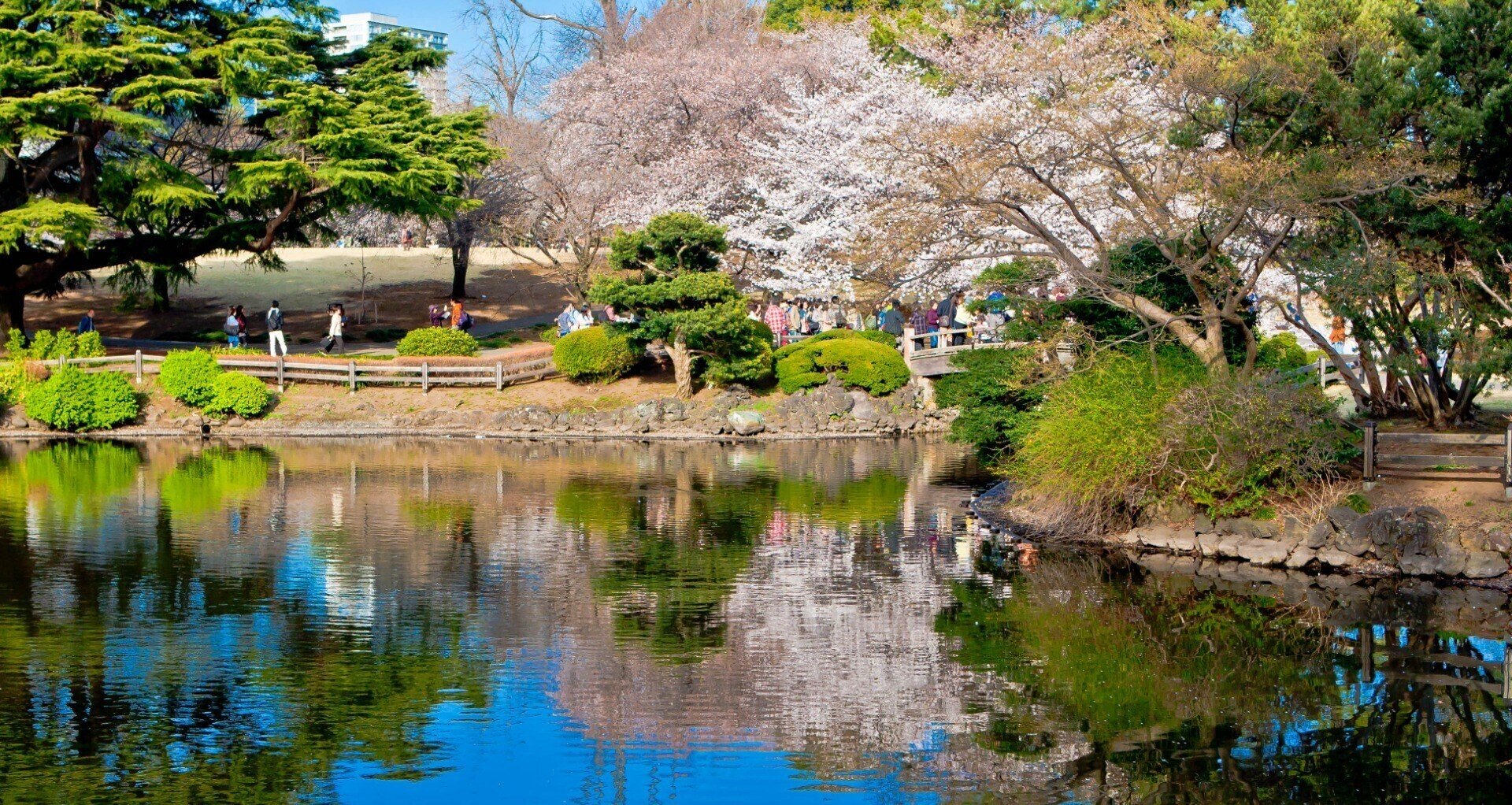 Mintsonの仲間たち｜Mintson