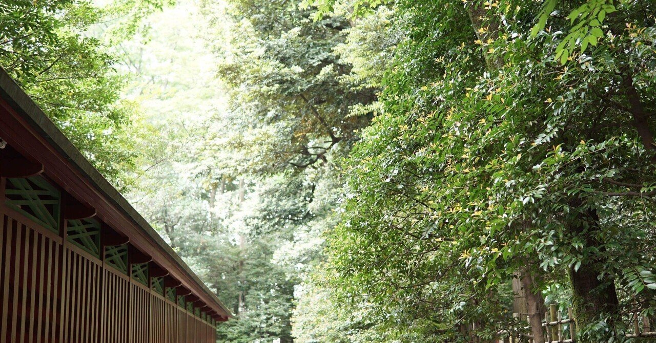 雨の後に｜tamayan