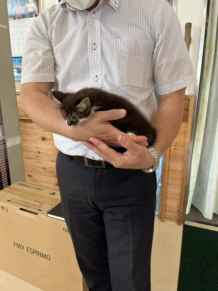 NPO法人アニマルホームOhanaの2022年のノート｜note