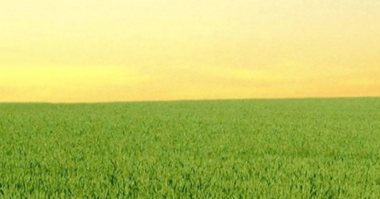 内なる声、外側(他者)の想念｜True_color_tomomi｜note