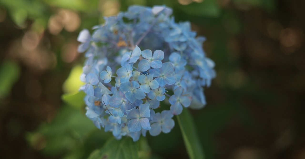 フリーランスになり3ヶ月過ごして｜Kaneoya Naoki