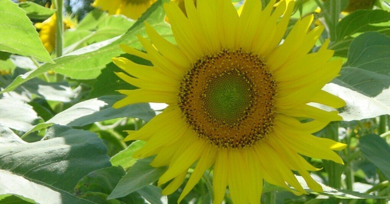 極意秘伝のはなし3｜juzen