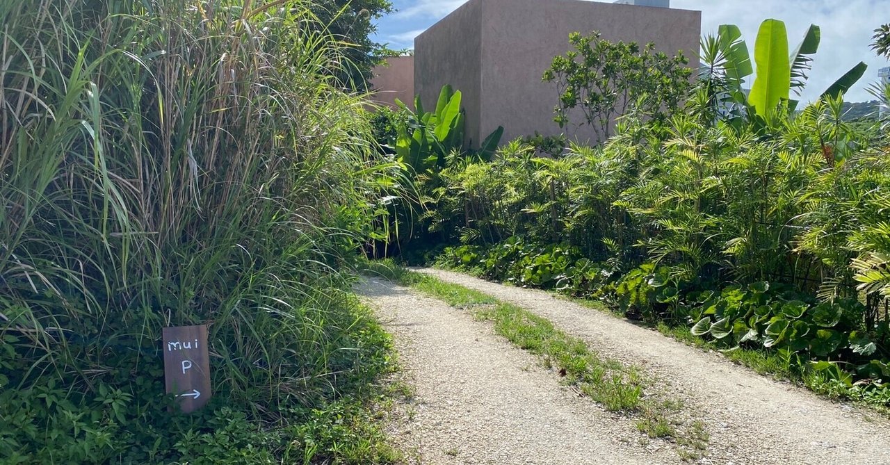 mui たびと風のうつわ｜yas_gaku