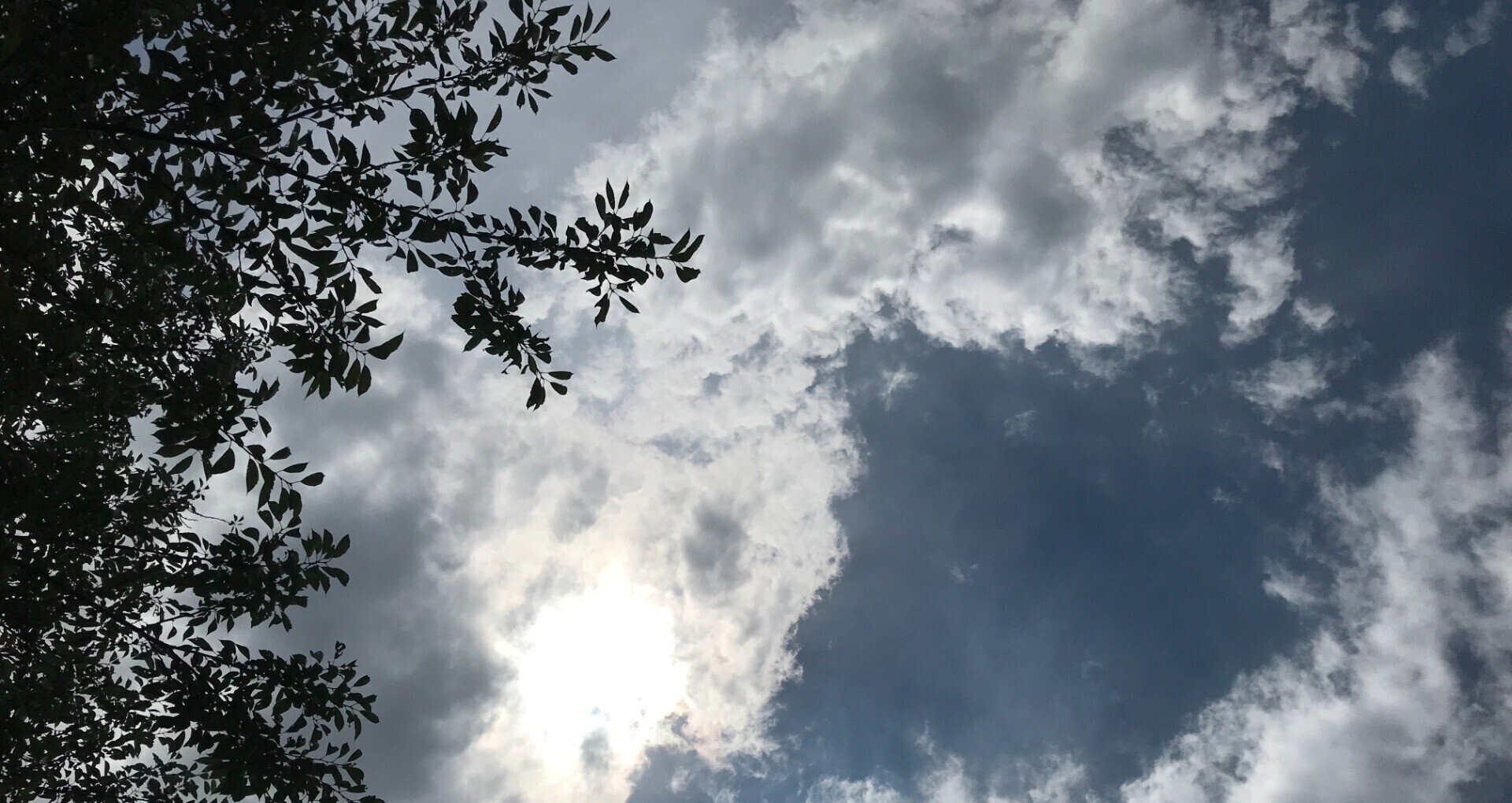 Ryosuke Matsusima｜note