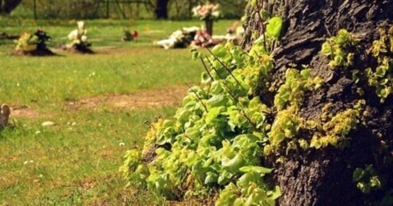 断る。｜和田己生（Wada Kio）