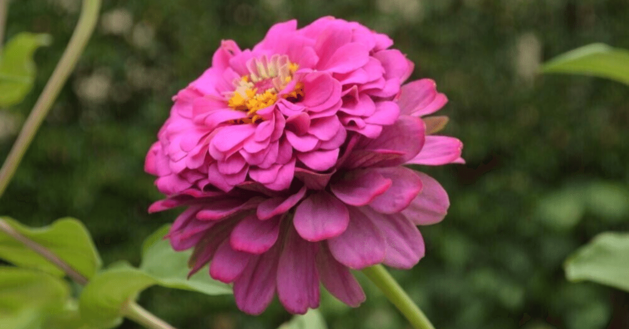 【インスタ集客】Tplus株式会社の「Insta Try」｜YOROKOBI