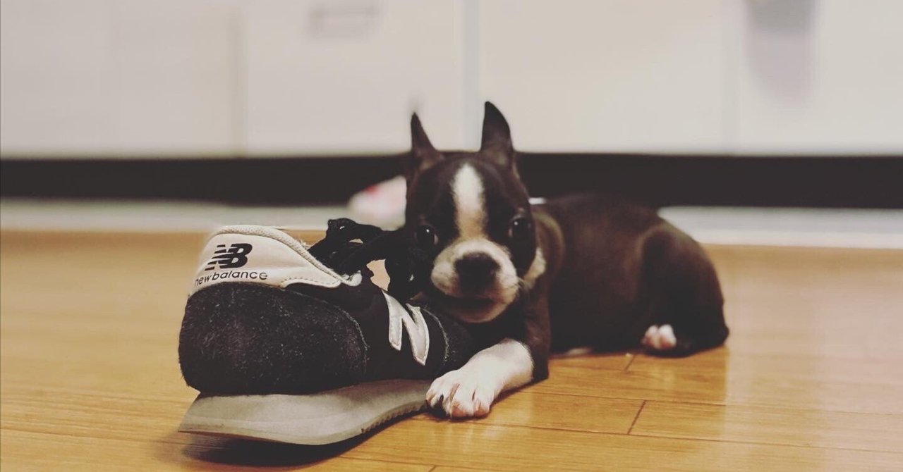 多能工、効率、スピード化…非定型発達人にとって厳しい時代になっちまったもんです｜mie