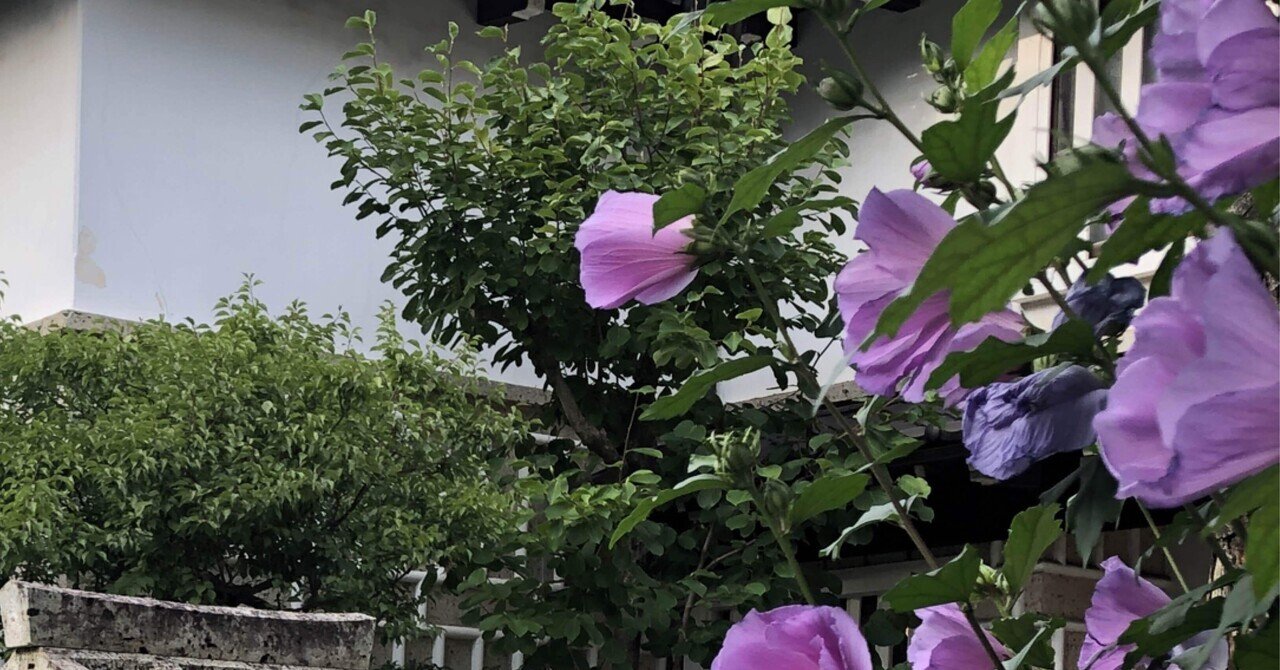 民藝館いったよ｜asagi_sagi