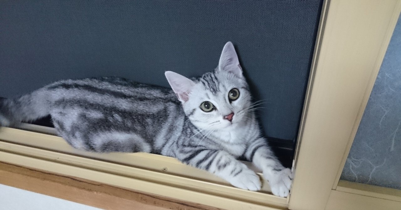 奇跡講座WB実践12 動揺しているのは、意味のない世界を見ているから｜(Linp&Ruru)本当の自分を知り、本当の自分として生きる