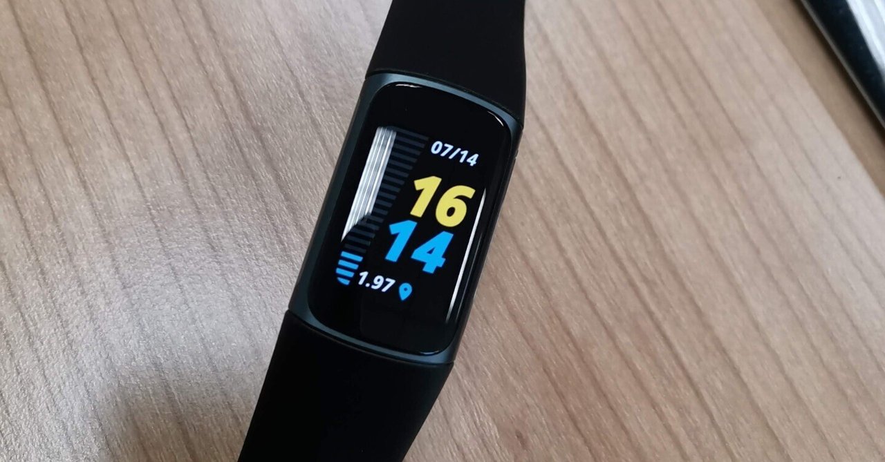 Fitbit User｜Team designer M