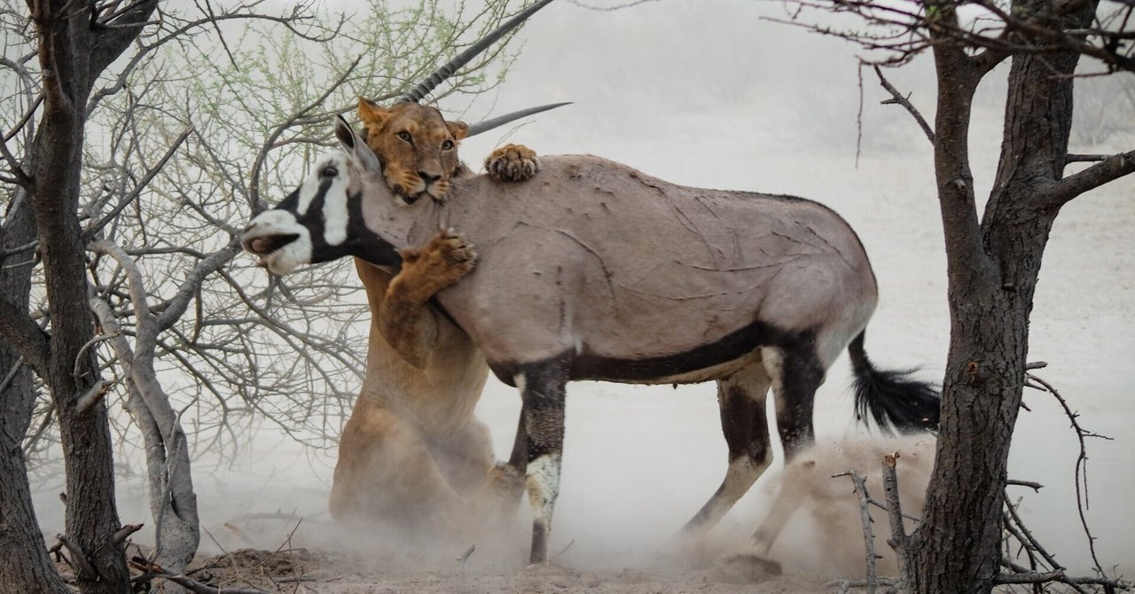 血の気が多い人のためのメンタルマネジメント｜Warimizu