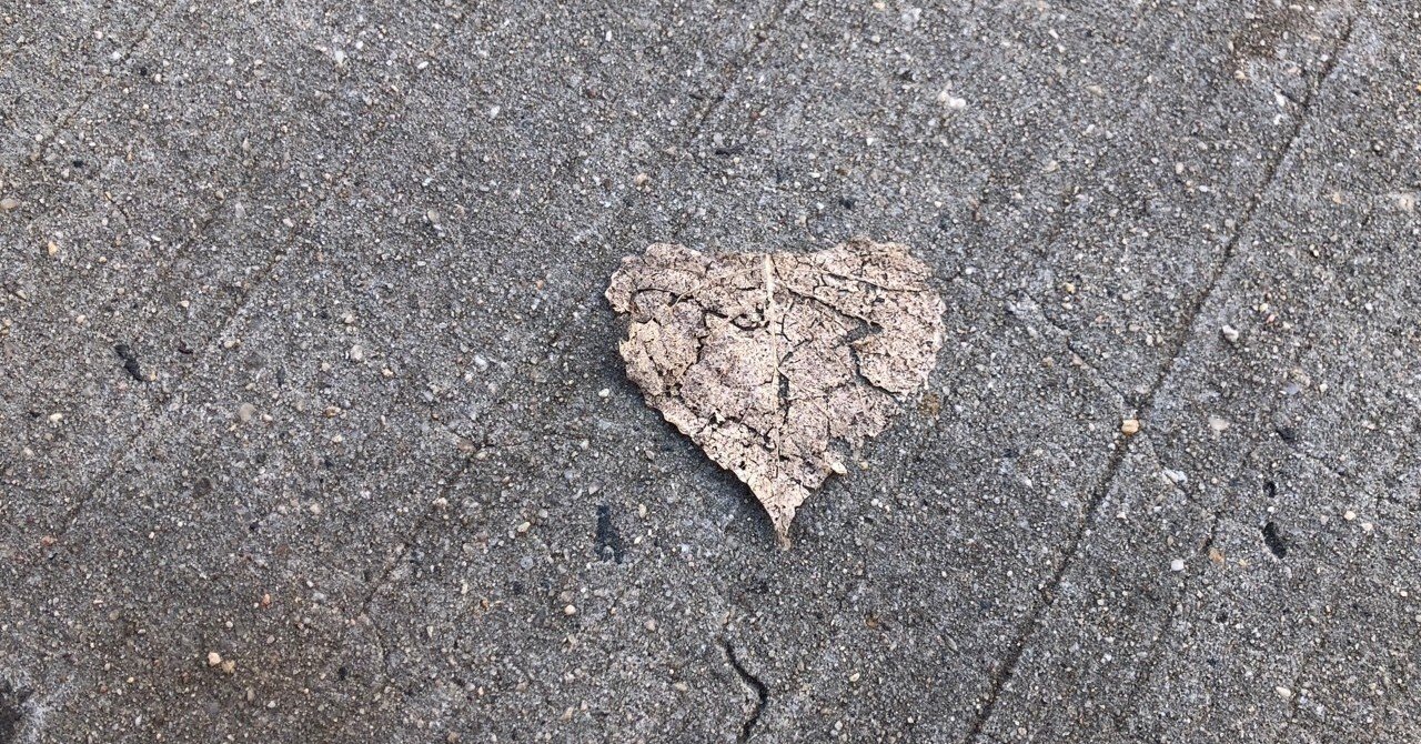 HOKKORI DAYS｜SENRI OE 大江千里｜note