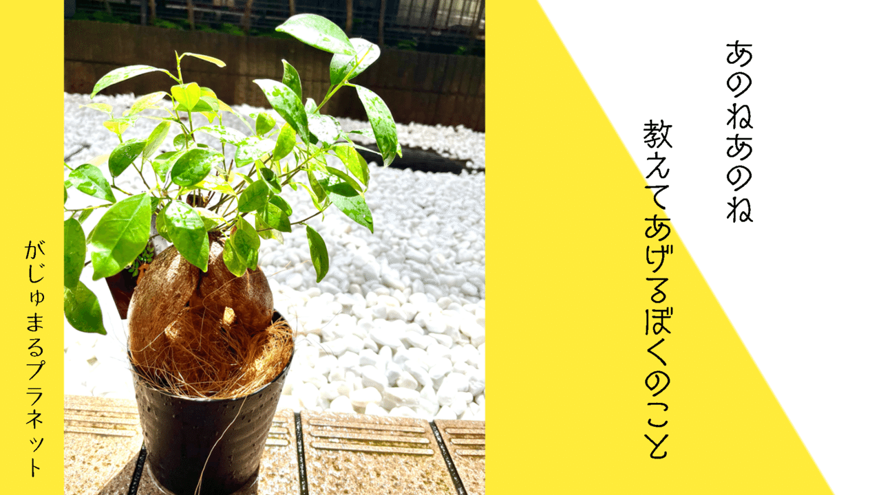 みんなの俳句大会は25日までです🕊🐢 https://note.com/minhai/n/n0b79accdcc86 都々逸もやってるよ https://note.com/code_mary ...
