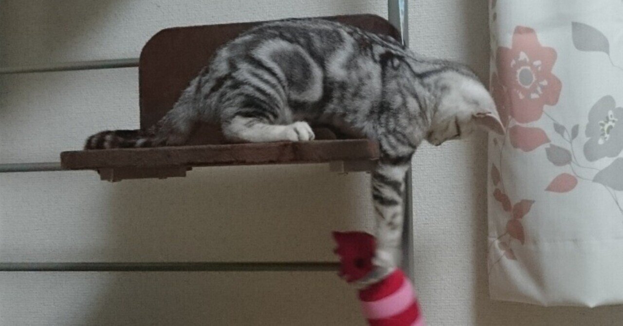 奇跡講座WB実践16 私に中庸な考えはない｜(Linp&Ruru)本当の自分を知り、本当の自分として生きる