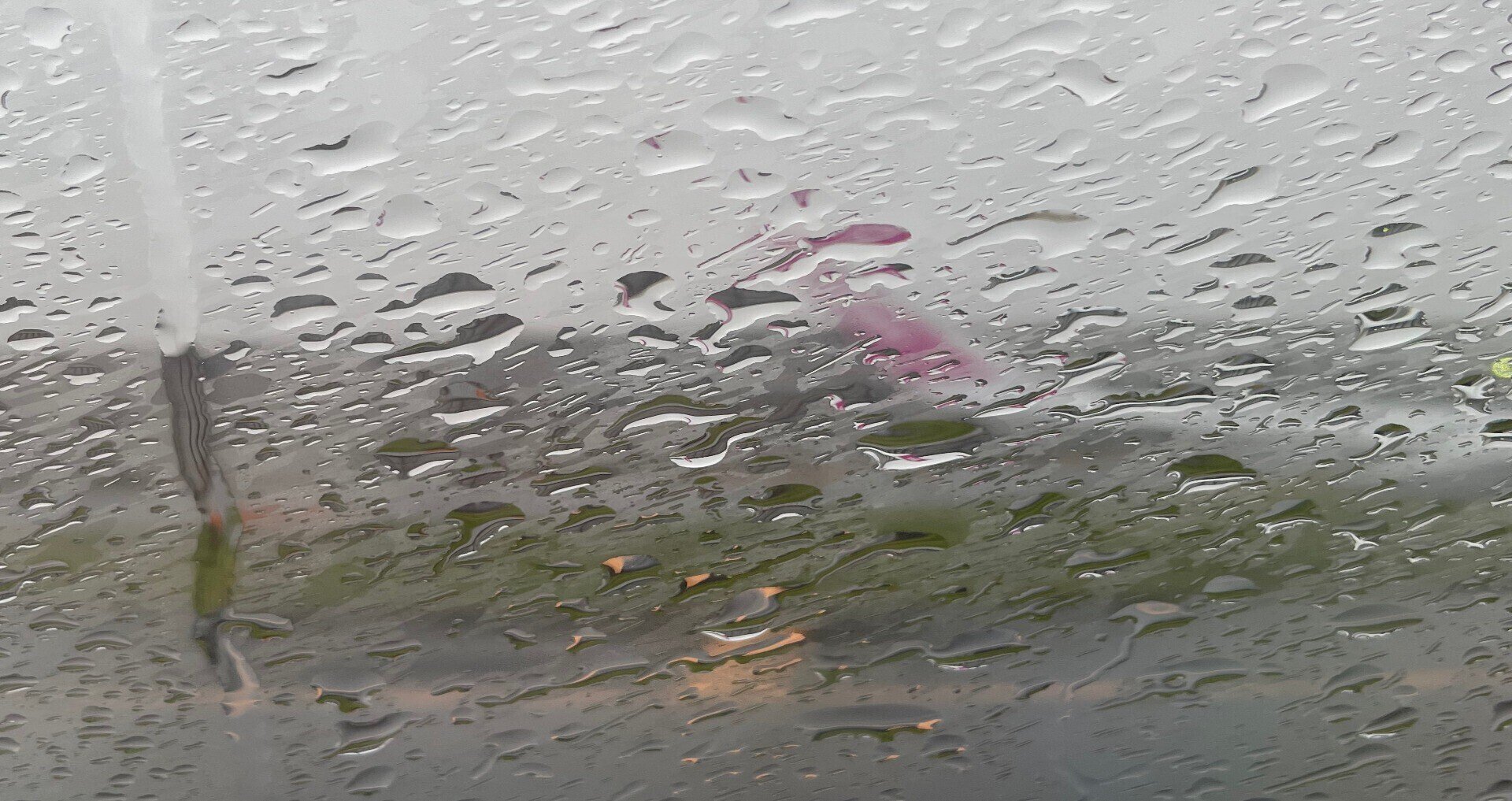 Kazunari SASA｜note